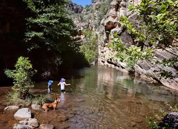 Gyerekek és egy kutya gázol egy patakban Arizonában