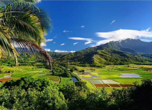 Berg och floder på Hawaii