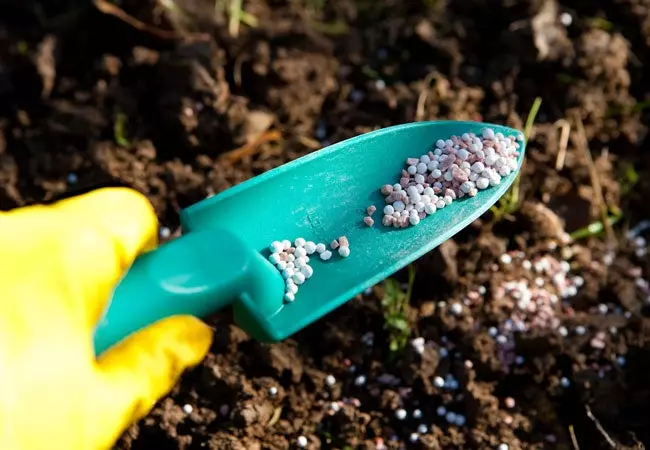 Tipos de fertilizantes que todo jardinero debe conocer