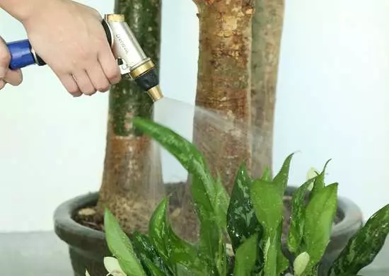 Crenova 3/4-Inch High Pressure Garden Hose Sprayer