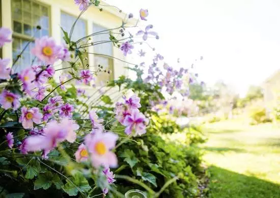 Maak een lijst van uw huis in de lente
