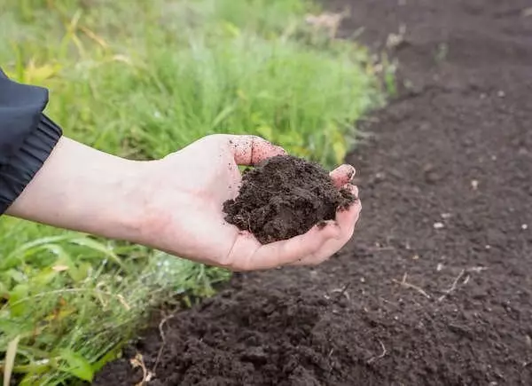 Hoe de bodem-PH met azijn te testen?