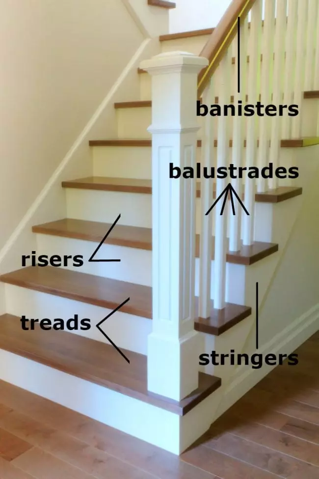Conosci le parti di una scala per risolvere le scale scricchiolanti