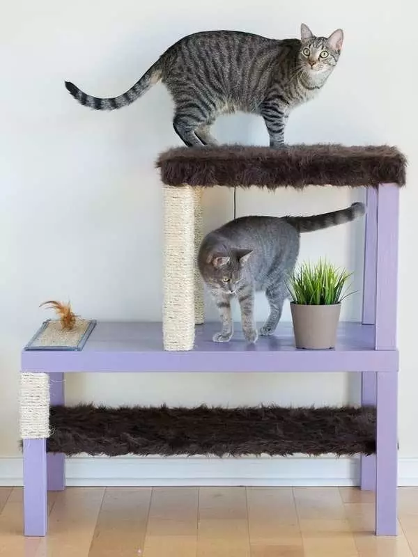 IKEA मांजर खाच
