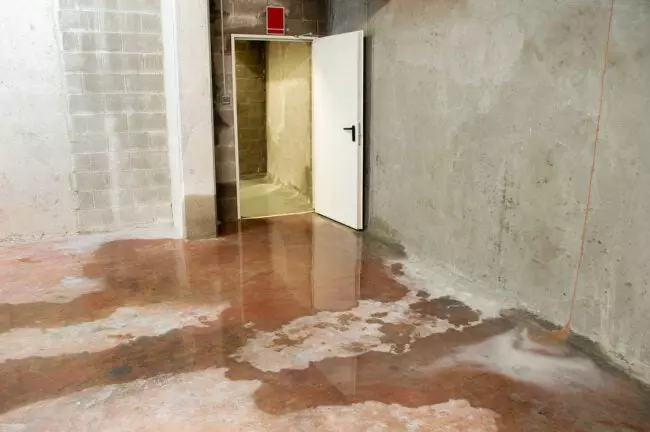 Daños por agua en el sótano causados por reflujo de alcantarillado debido a drenaje sanitario obstruido