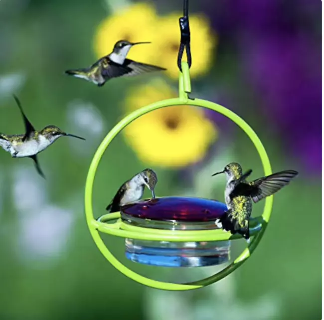 unsaon pagpalayo ang mga putyokan gikan sa mga tigpakaon sa hummingbird