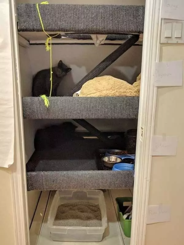 DIY Cat Tree in Closet