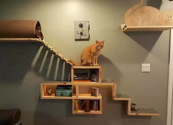 Pared de gato de bricolaje