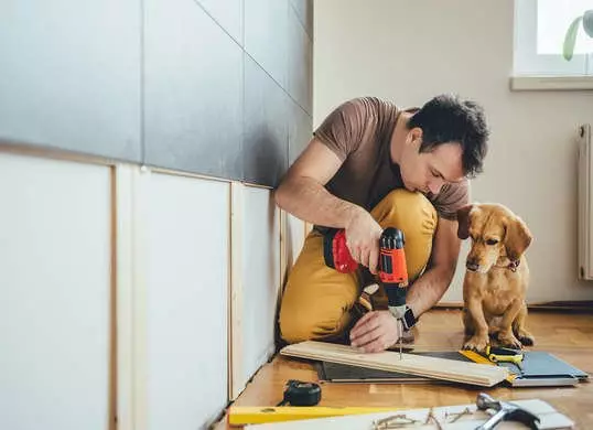 cuidado de mascotas durante la remodelación