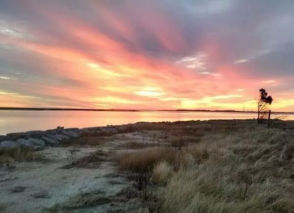 Aluguel de temporada em Holly Bluff Island