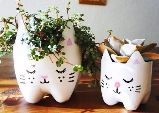 DIY Cat Planter