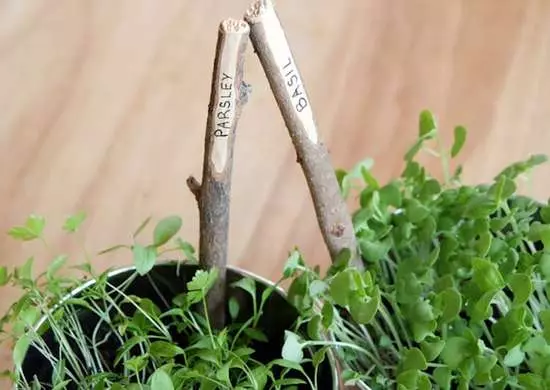 DIY Plant Markers