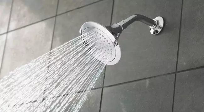 Hvordan velge et dusjhode