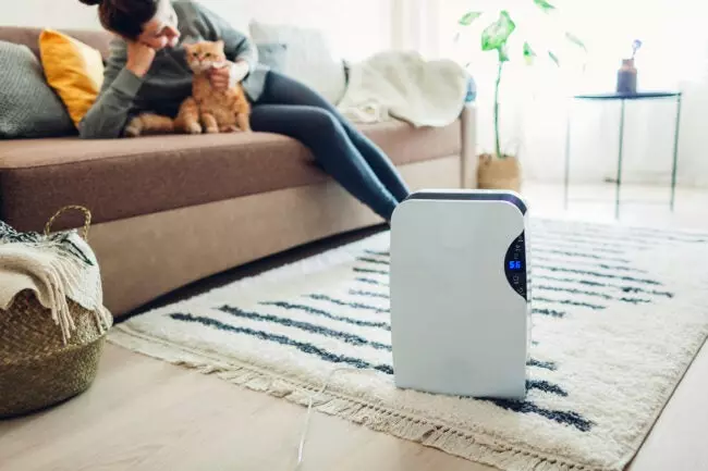 wéi en dehumidifier ze wielen