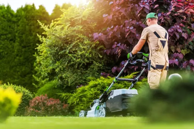 Grasmaaiservice bij mij in de buurt