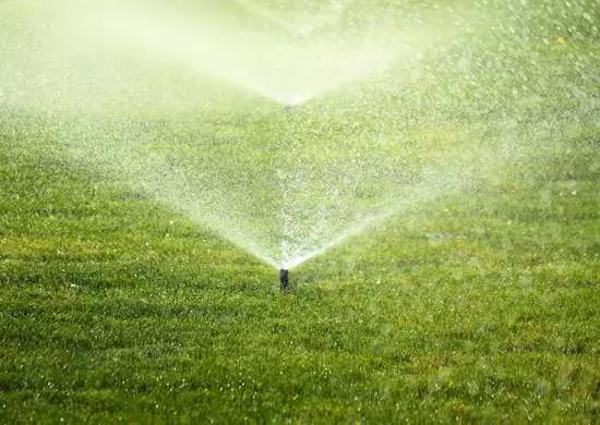 Экономия воды на дерне и искусственном газоне