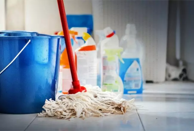 您可以從日常清潔中減少 5 種化學物質（以及改用什麼） 11715_2