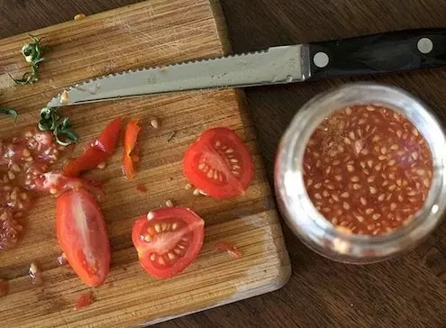 Starta tomater från frön - spara frön