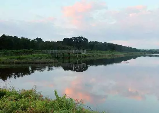 Huntington Beach Campground ved Huntington Beach State Park i South Carolina