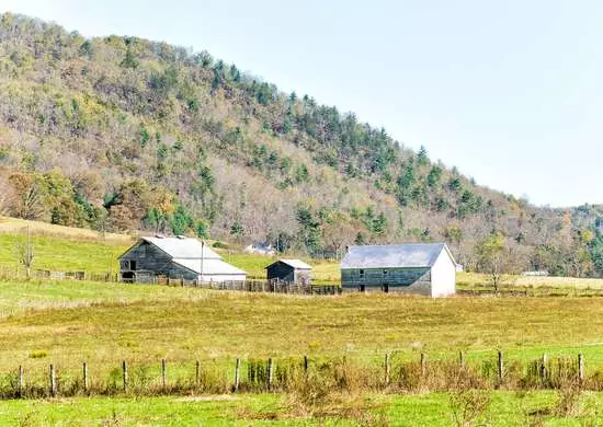 Ngân hàng xanh, WV