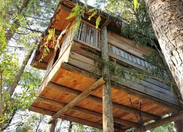 mga ideya sa treehouse
