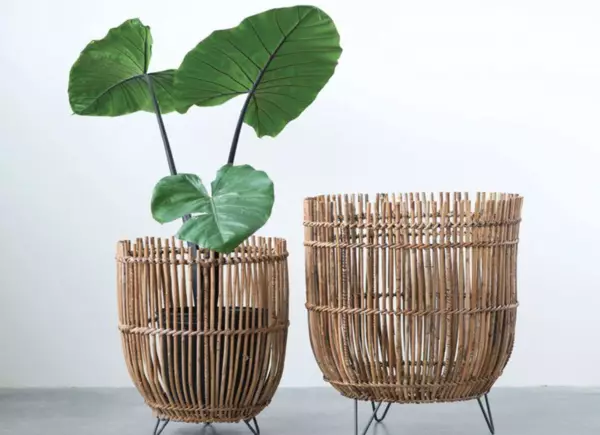 siv baskets houseplants