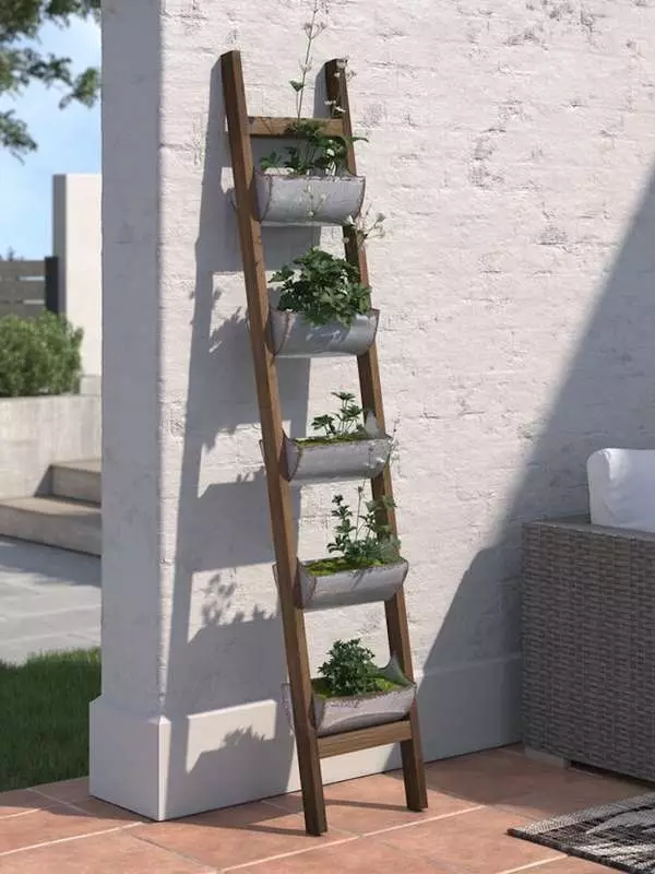 سیڑھی کے گھر کے پودوں کو سجائیں۔