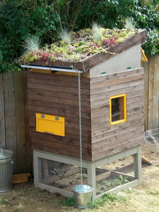 DIY Chicken Coop - Disenyo gikan sa Landscape+Urbanism