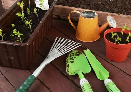 Clean Gardening Tools