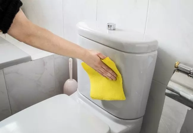 چگونه توالت را تمیز کنیم