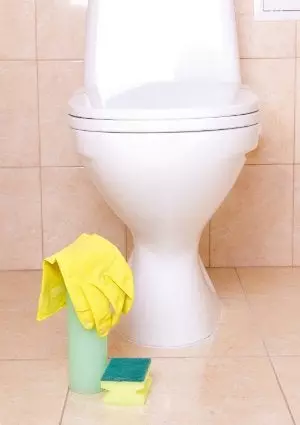 Limpadores de banheiro