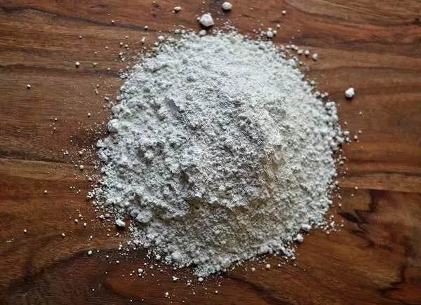 Diatomaceous पृथ्वी