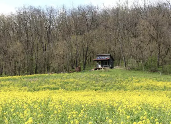 Cabin của nghệ sĩ ở Appalachia