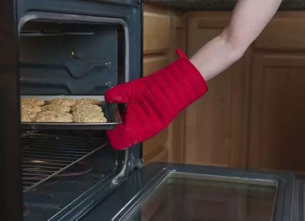 Dolyar Store Oven Mitt