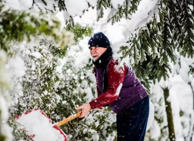 5 manieren waarop sneeuwschuiven schadelijk kan zijn voor uw gezondheid 12311_3