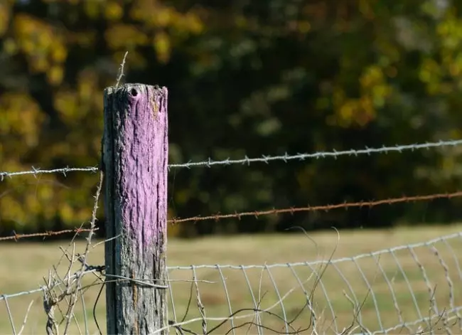 Signification de la clôture violette