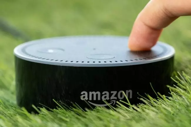 Alexa Intruder Alert