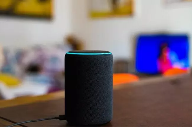 Alexa Intruder Alert