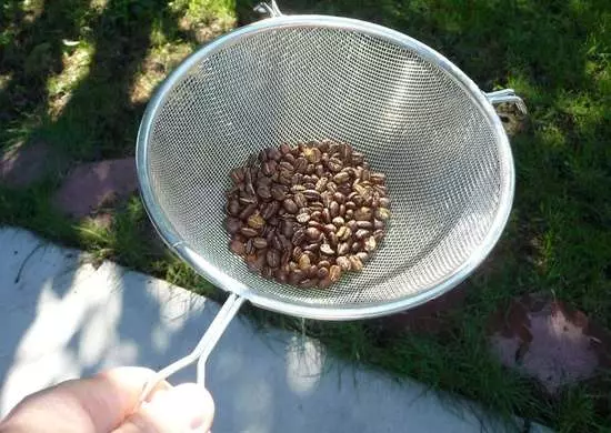 Comment faire rôtir des grains de café dans Air Popper