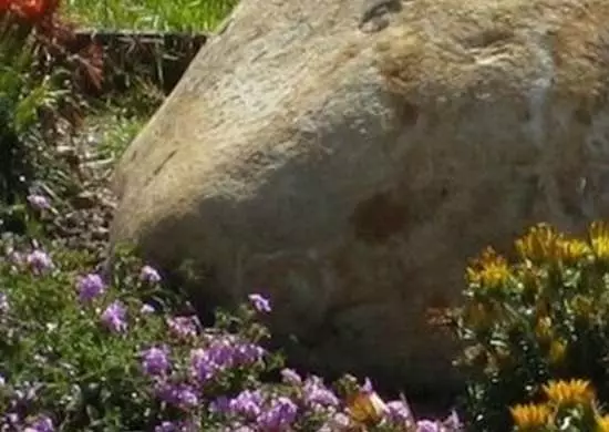 花园巨石