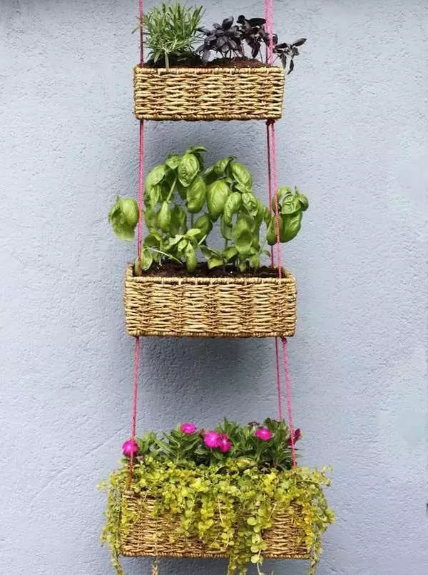 Yakarembera Basket Vertical Planter