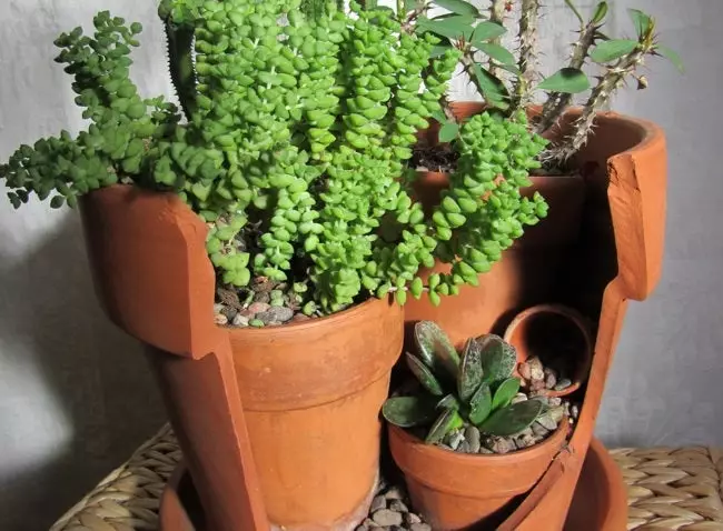 Repurpose Broken Pots - Mini planter