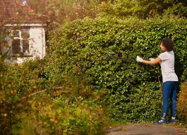 eureun méakkeun duit hedges