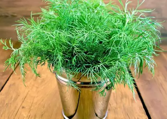 Kukula Dill Indoor