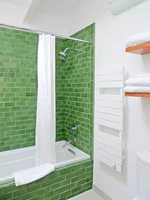 Ideas de azulexos de ducha verde