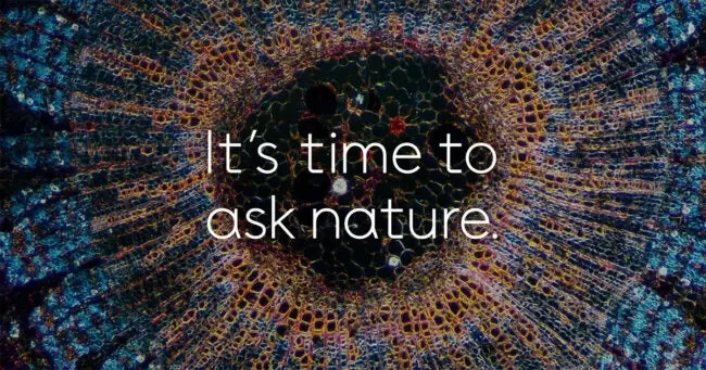 Biomimicry - AskNature.Org