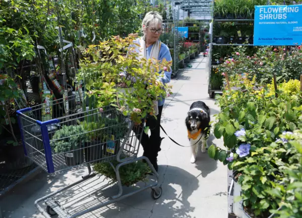 Ženska vozi nakupovalni voziček skozi vrtni del Lowesa s službenim psom