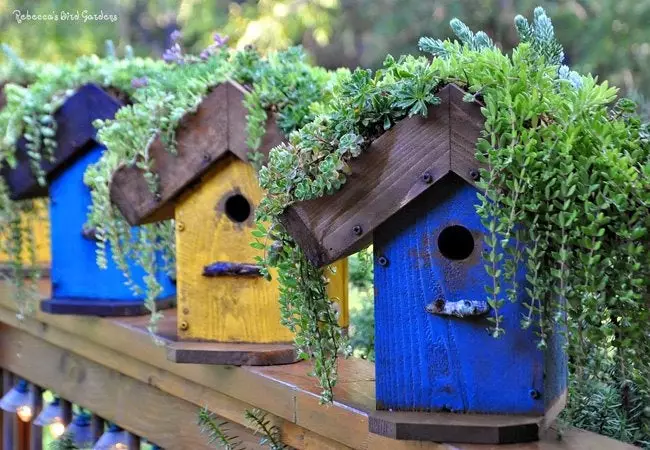 DIYの巣箱-屋上庭園