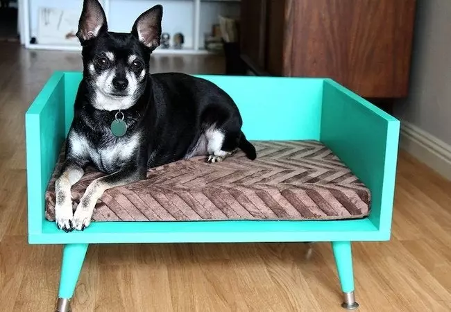 Cama para perros DIY - Moderna