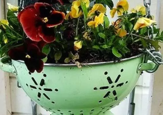 Colander Planter